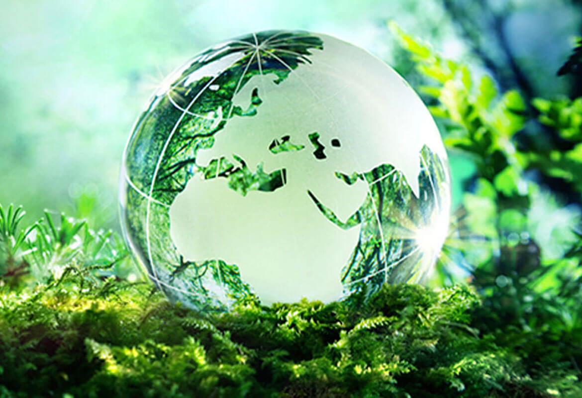 Go Green Movements - Environmental Advisory Services