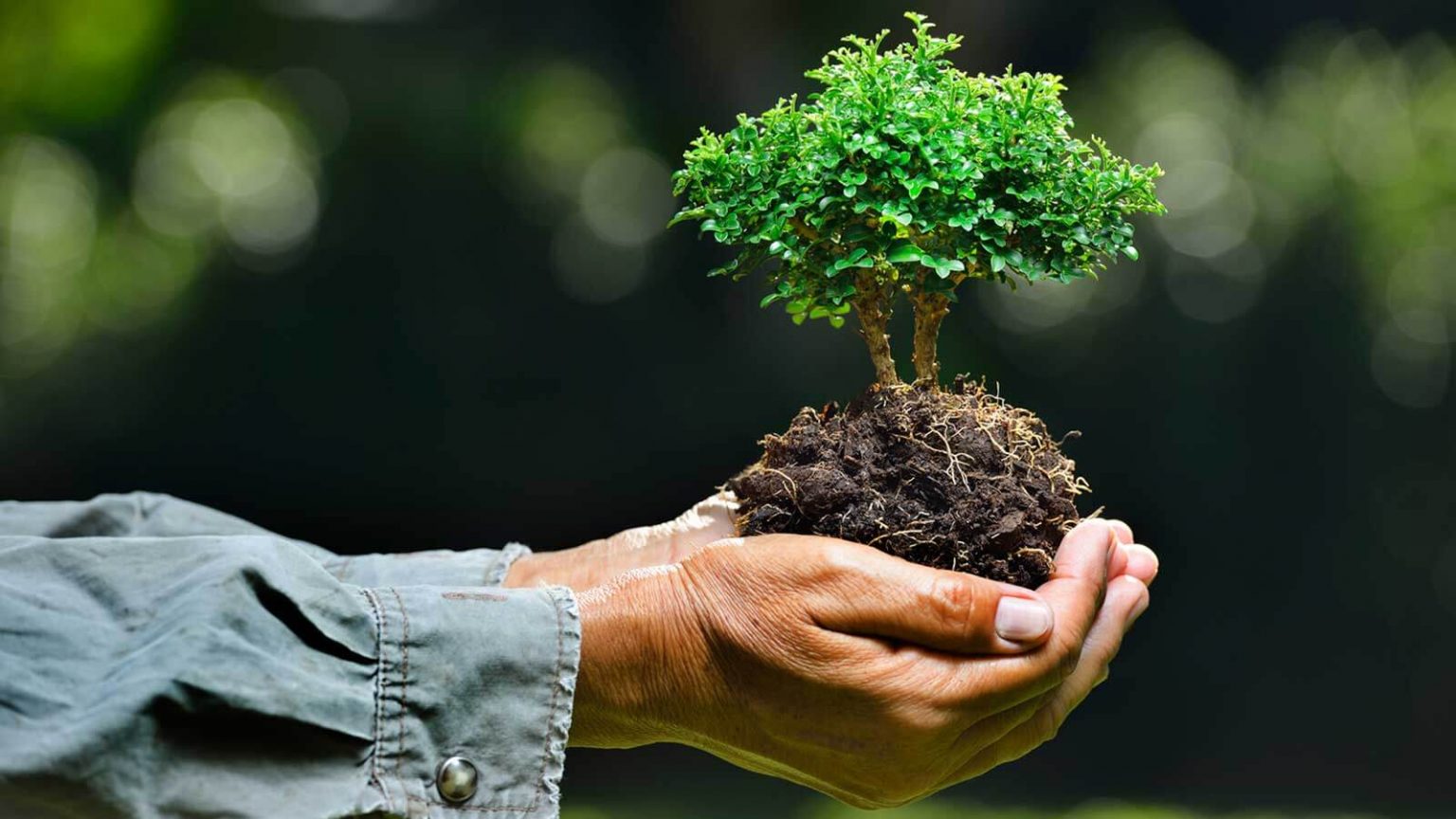 About Us - Environmental Advisory Services